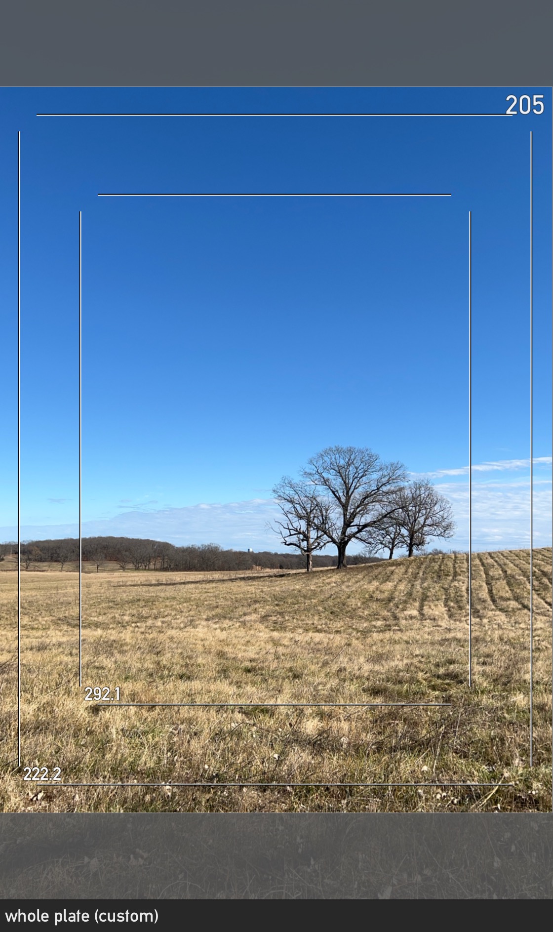 Whispers of Resilience: A Journey Through Grief – Plate # 1 – Darkroom ...