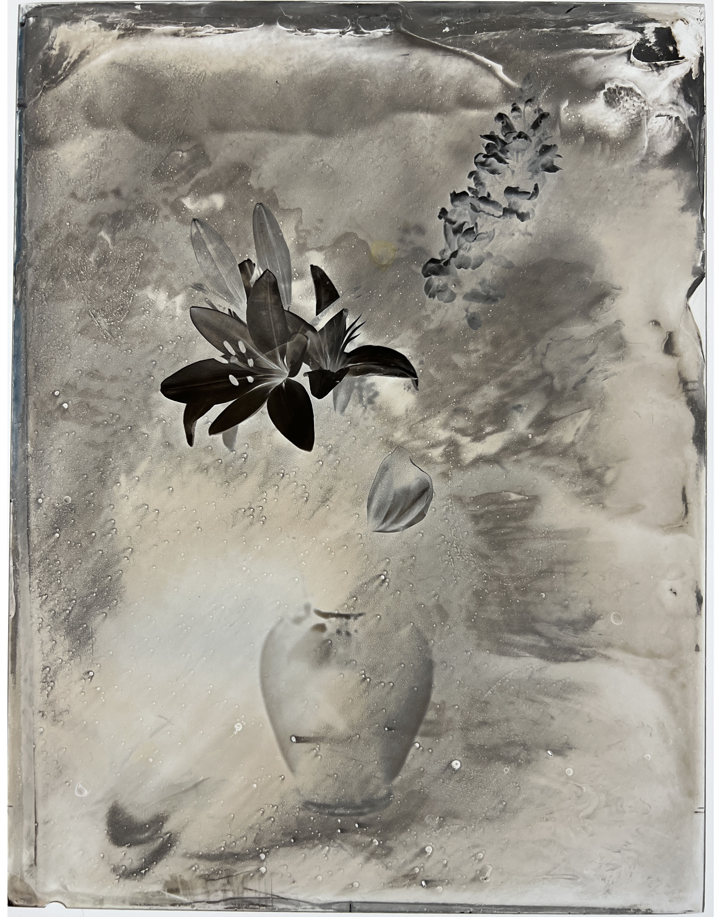 Wet Plate Collodion Troubleshooting Tips – Tim Layton