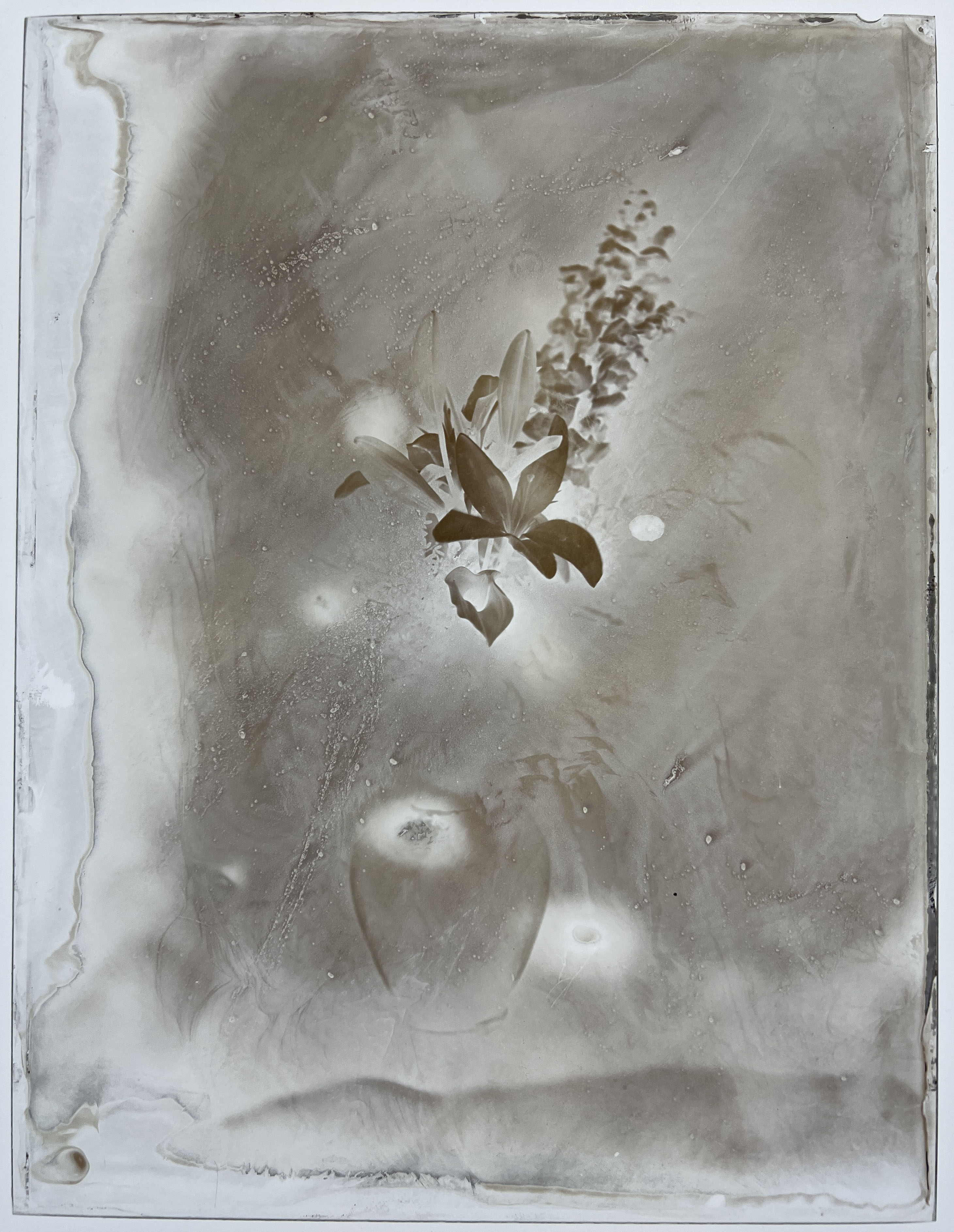 Wet Plate Collodion Troubleshooting Tips - Tim Layton Fine Art