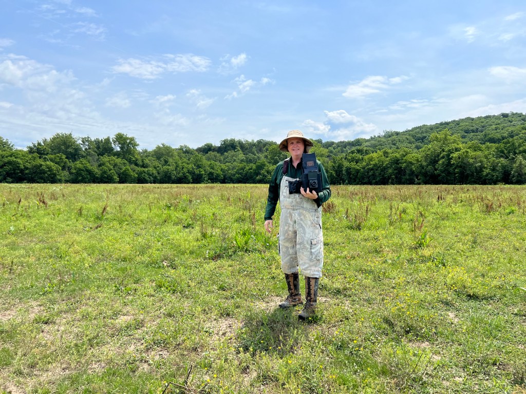 Tim Layton Fine Art – Pictorial Whispers