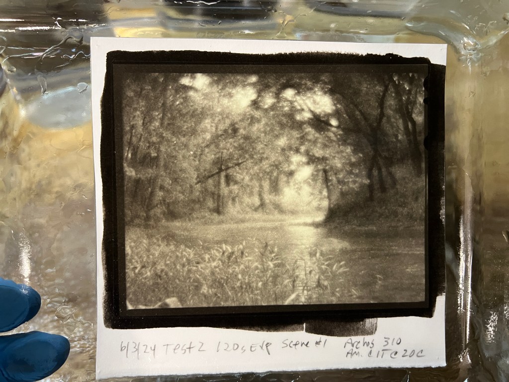 Pictorial Whispers Additional Information – Tim Layton