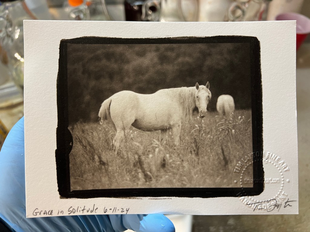 Tim Layton Fine Art – Pictorial Whispers