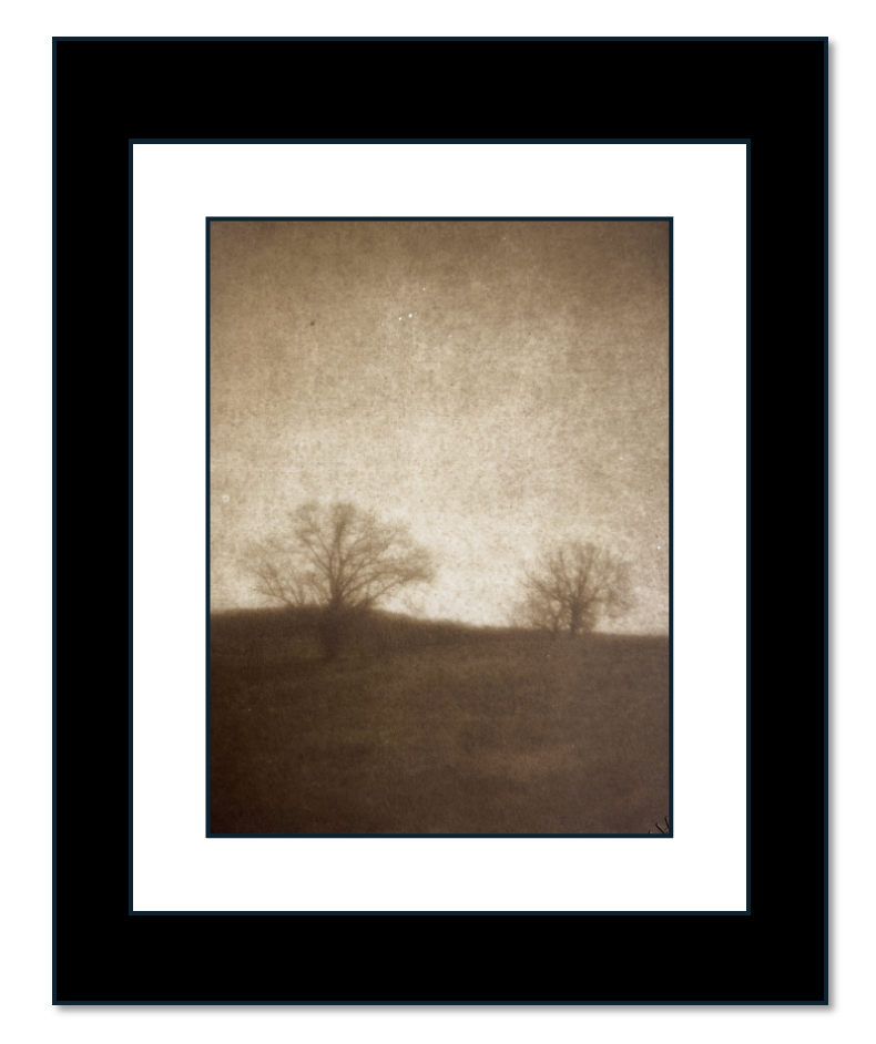 Calotype Paper Negatives – Tim Layton