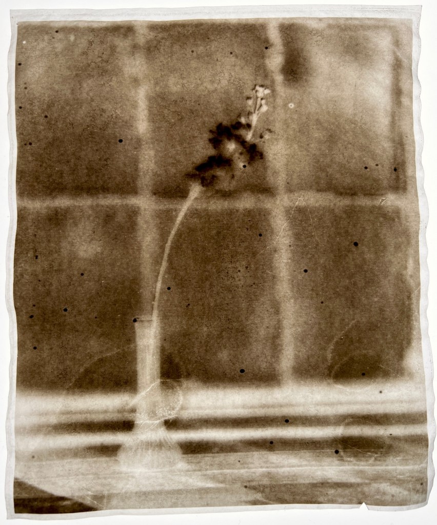 Calotype Paper Negatives – Tim Layton