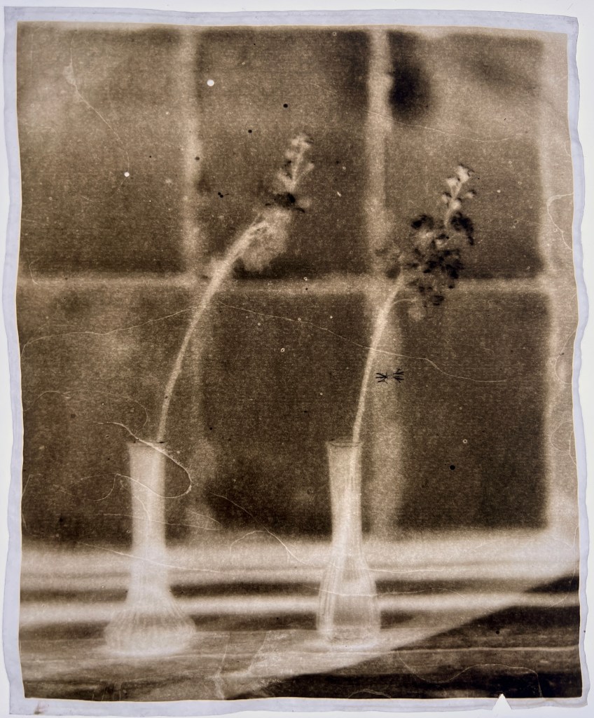 Calotype Paper Negatives – Tim Layton